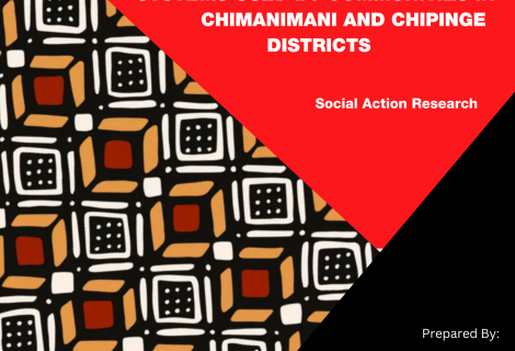 Social Action Research - Focus On Indigenous Knowledge Systems Used By ...